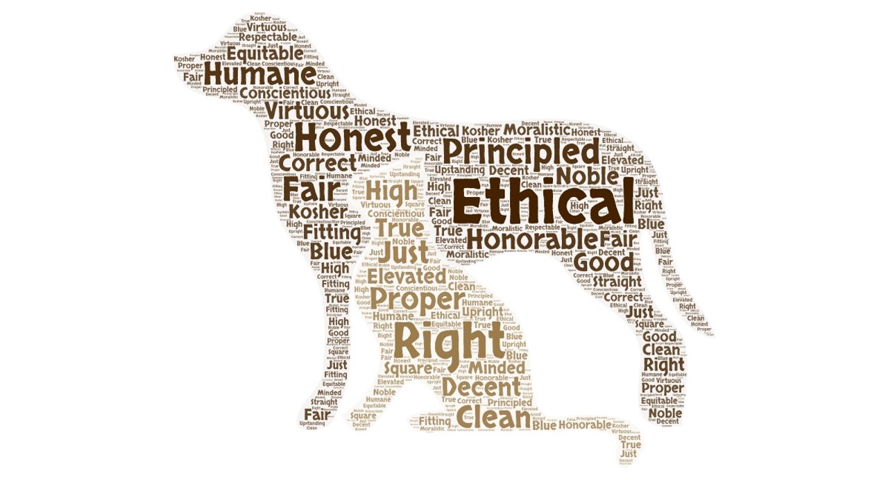 Why Dog Training Programs On TV Should Be Entertaining Educational why-dog-training-programs-on-tv-should-be-entertaining-educational