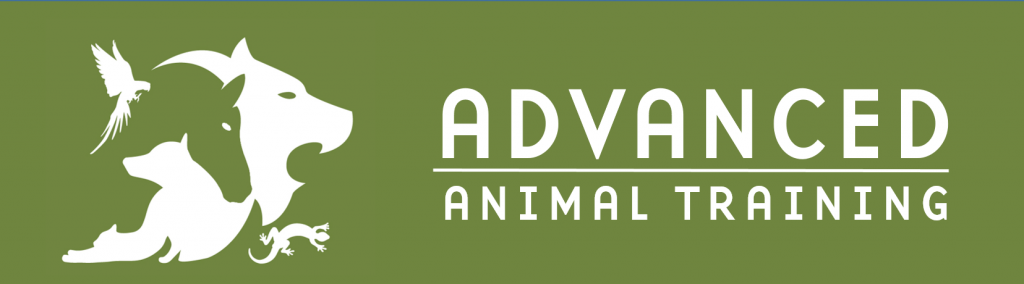 How to become a better animal trainer. – Illis ABC